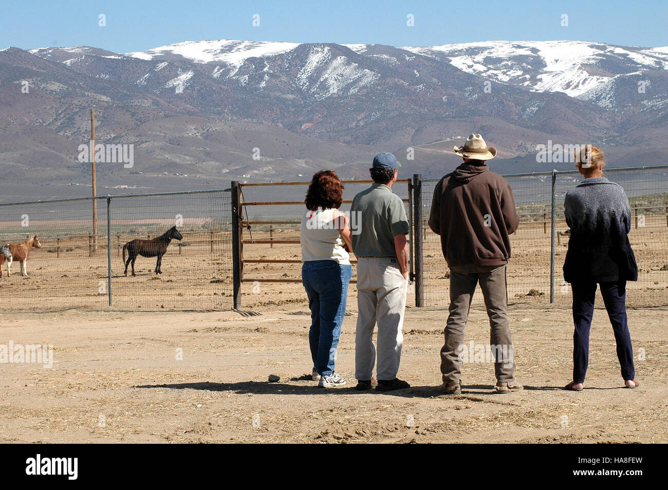 The Palomino Valley Wild Horse and Burro Center, located in Nevada ...