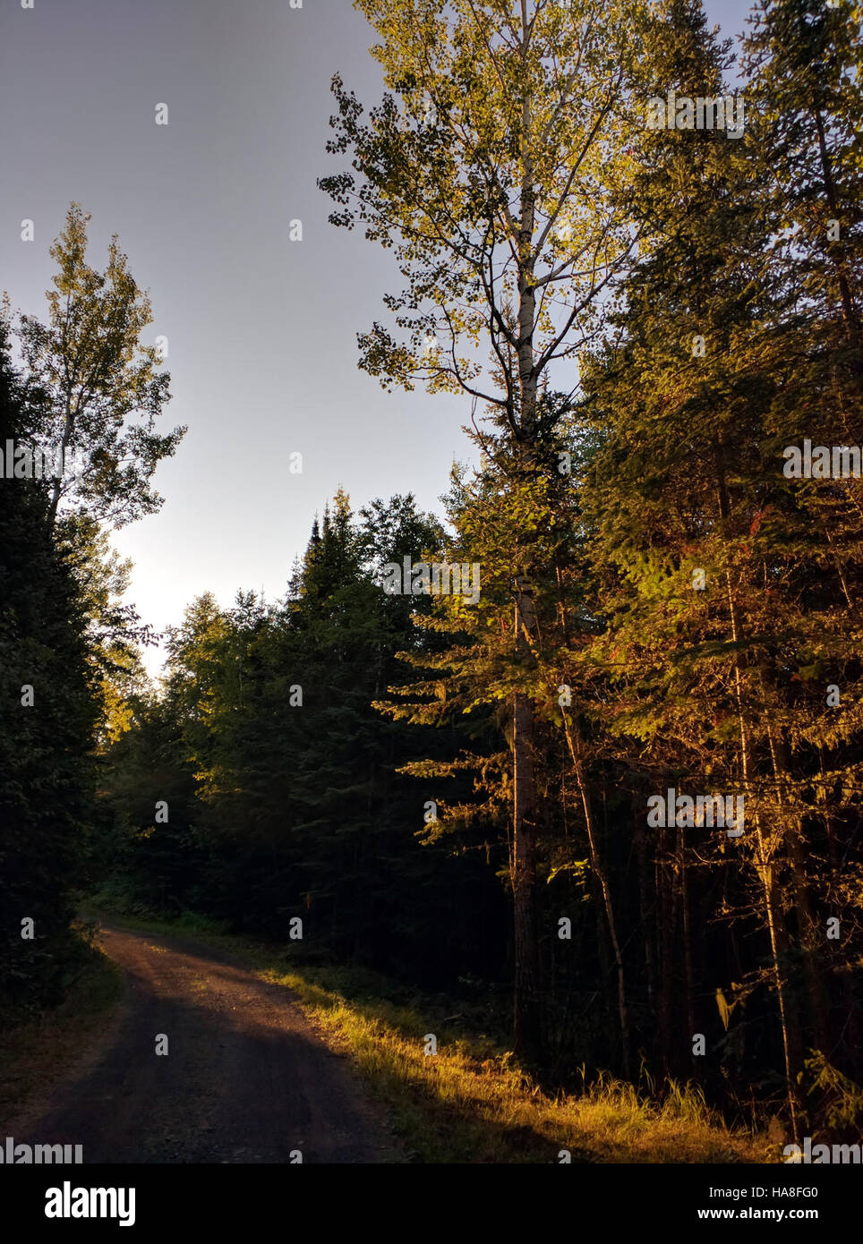 The photograph *Morning Light* captures the tranquility and subtle ...