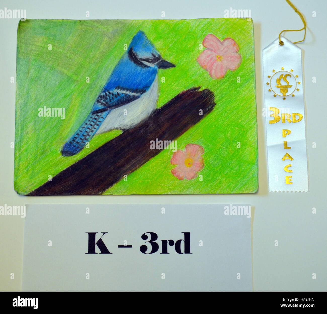 Showcases vibrant markings hi-res stock photography and images - Alamy