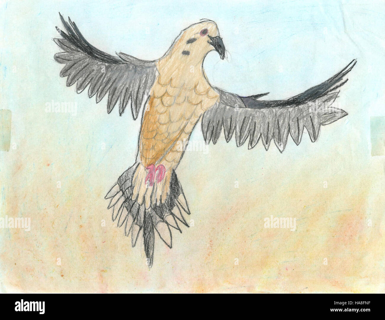 This photograph by Zoe Hernandez captures a mourning dove, an iconic ...
