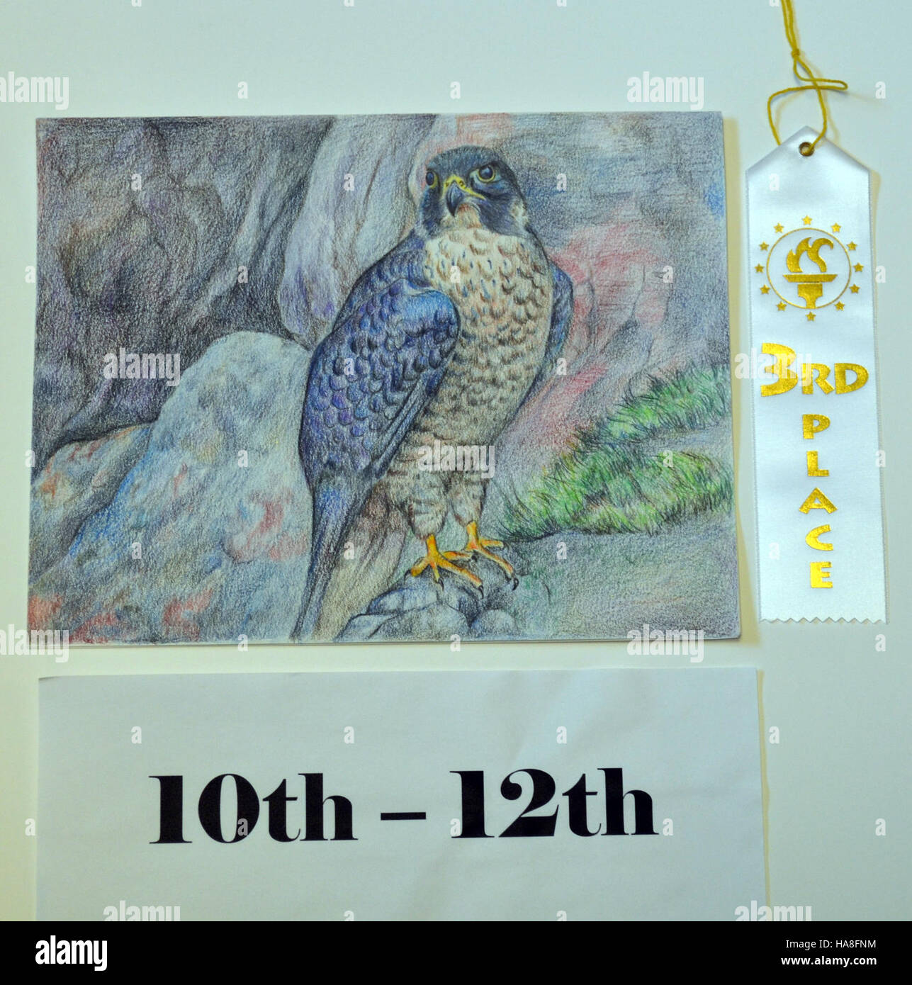 This photograph by Bolin Li showcases the Peregrine falcon, known for ...