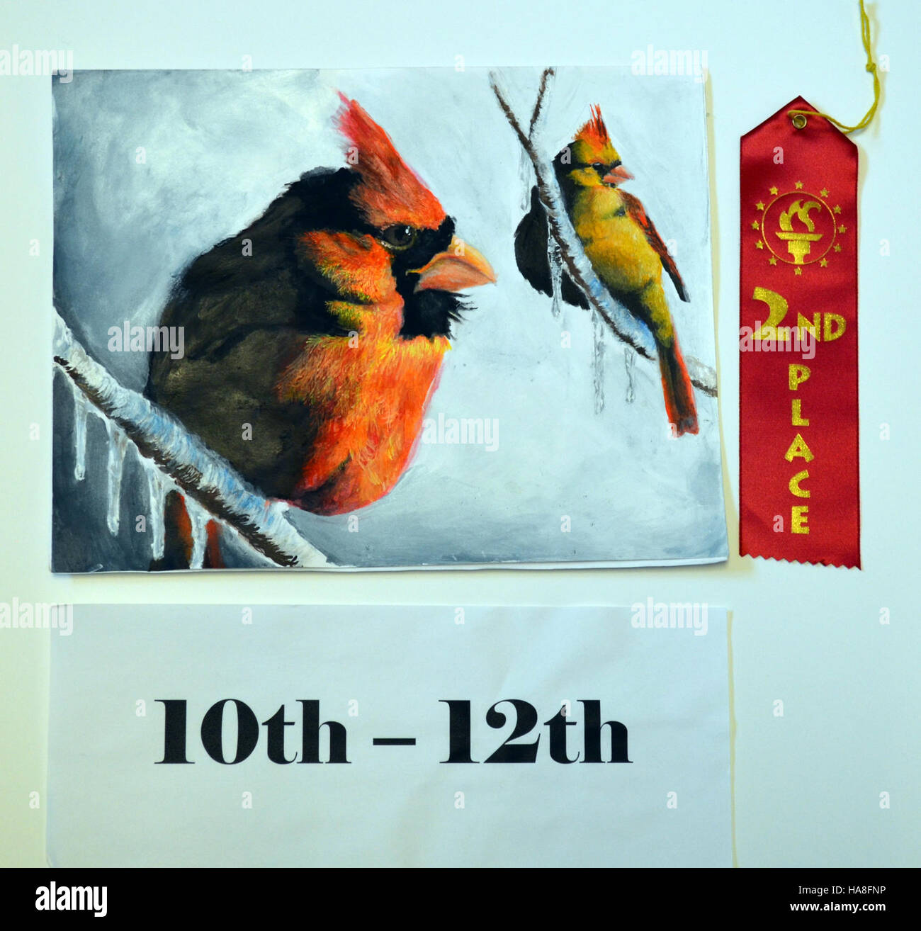 A photograph of a Northern Cardinal, captured by Daniel Billings in ...