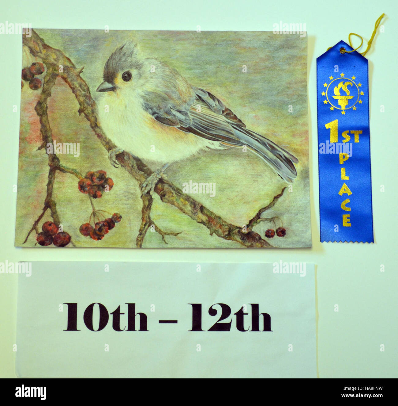 This image shows a Tufted Titmouse, a small songbird, captured by ...