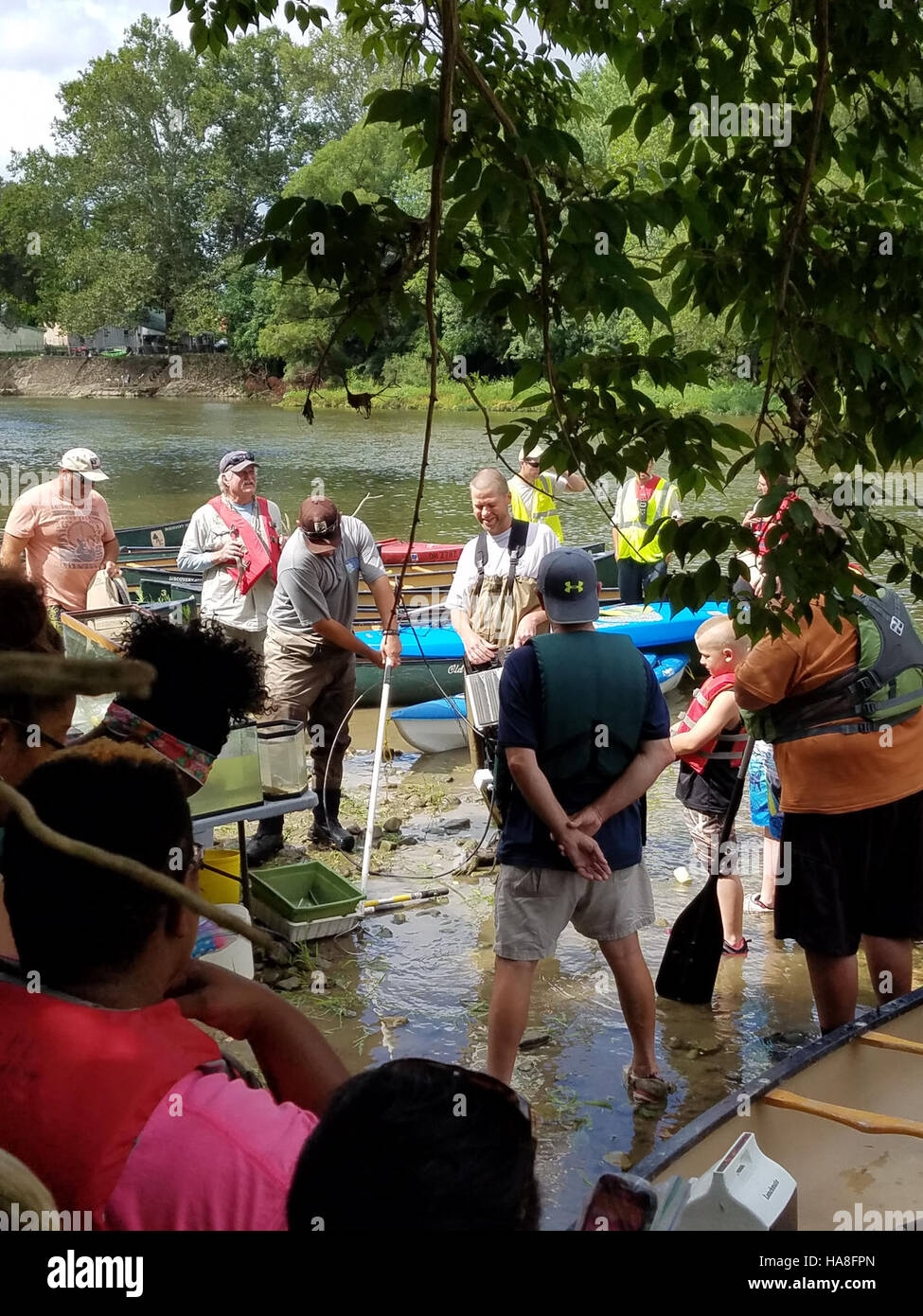 This image shows a public demonstration of electrofishing, a technique ...