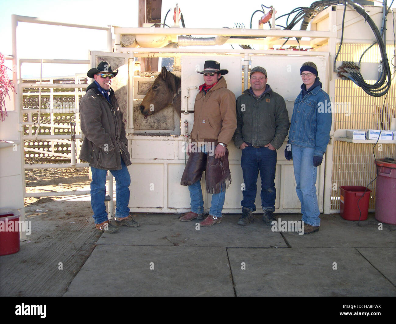 An image of BLM (Bureau of Land Management) wranglers working with wild ...