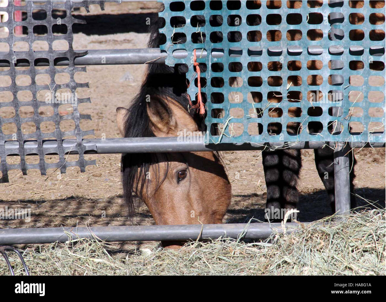 Tri state park hi-res stock photography and images - Alamy