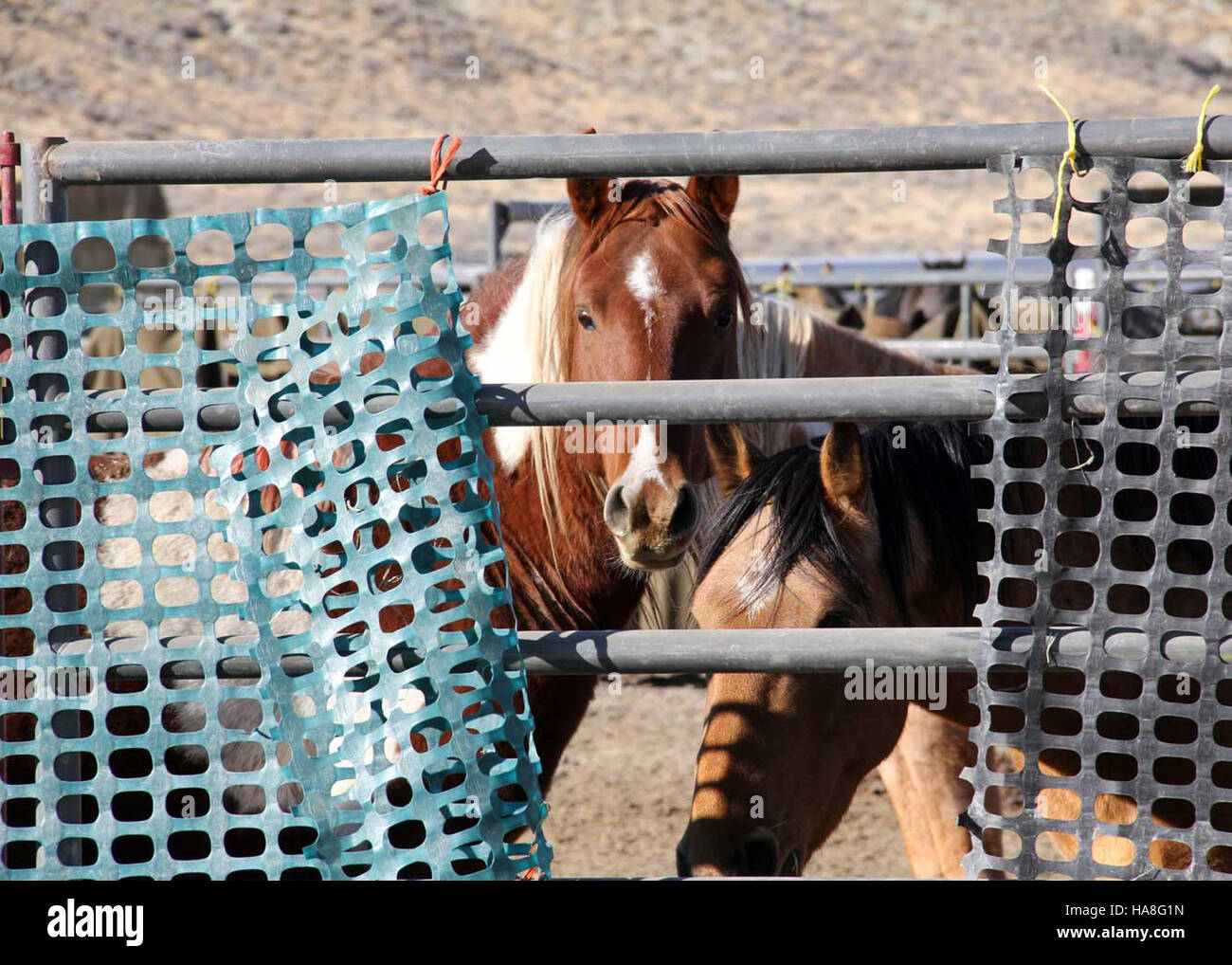 Tri state park hi-res stock photography and images - Alamy