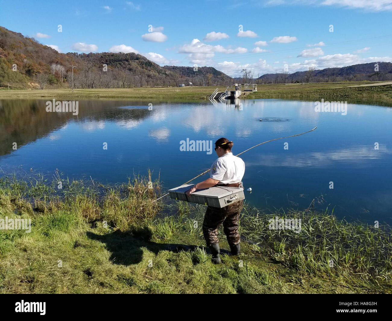 Efforts to prepare Hine's Emerald Dragonfly larvae for winter in a ...