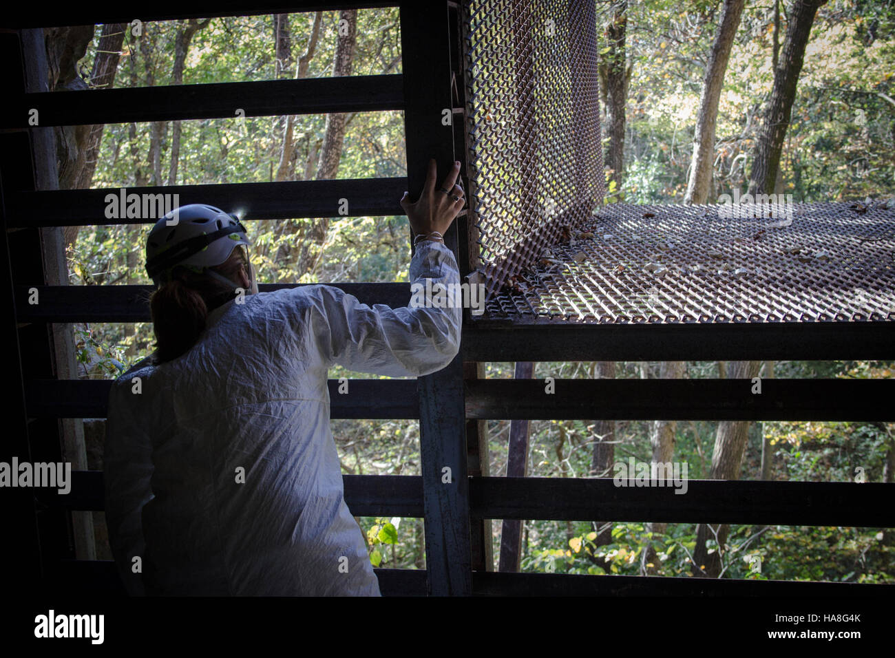 usfwsmidwest 30504915156 Bat Gate Inspection Stock Photo - Alamy