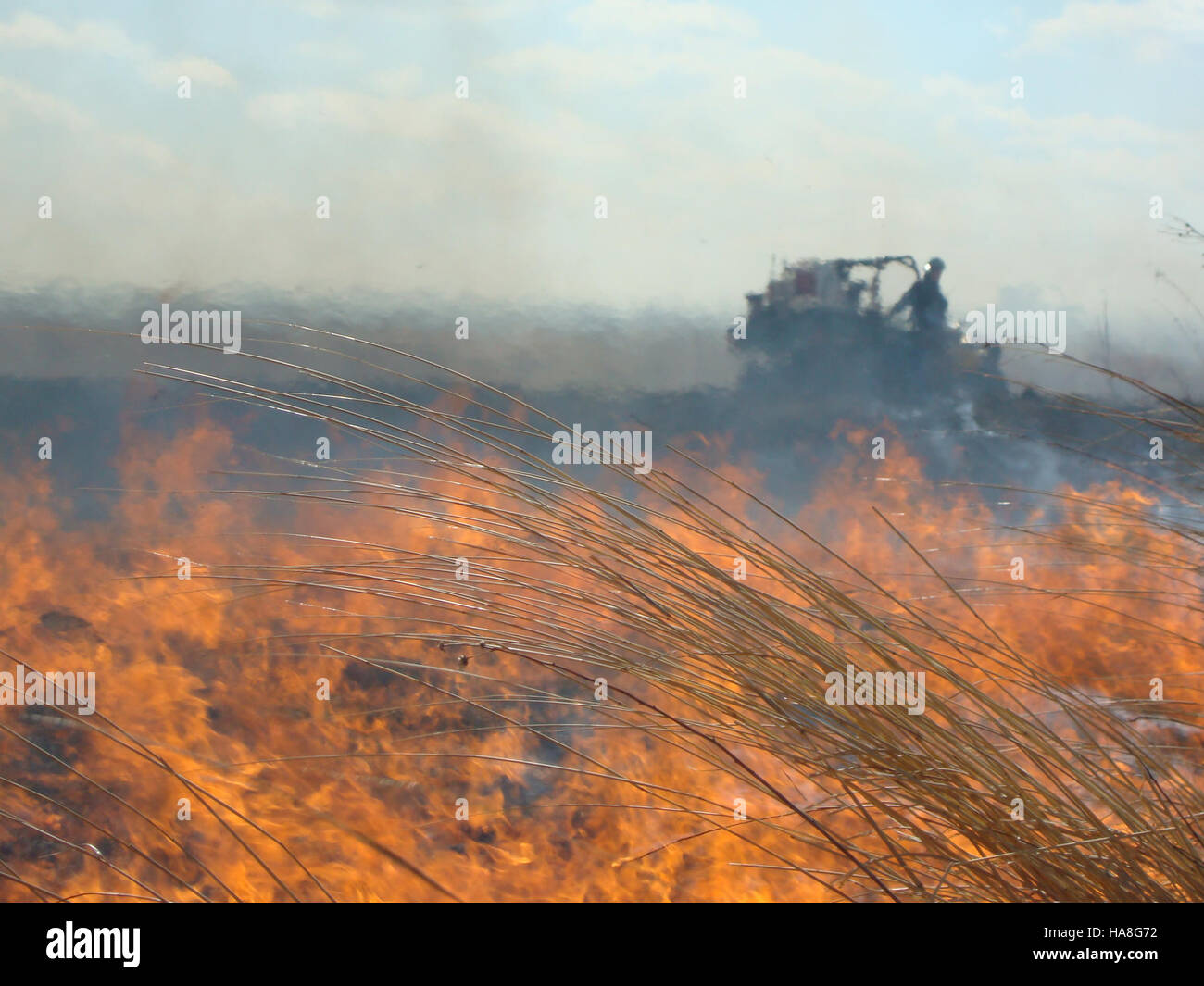 Don wiley hi-res stock photography and images - Alamy