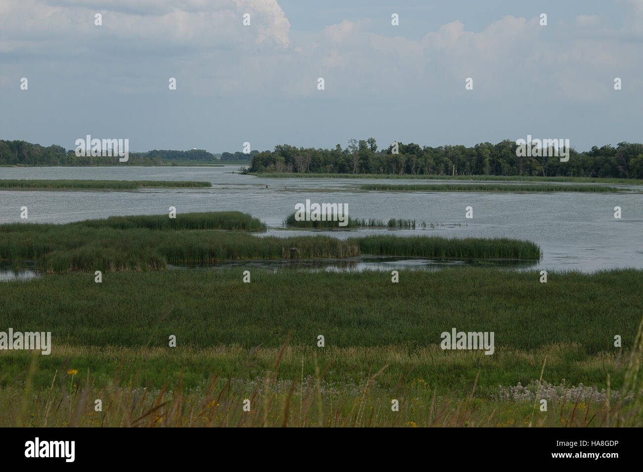 Pelican Lake Waterfowl Production Area (WPA) is dedicated to the ...