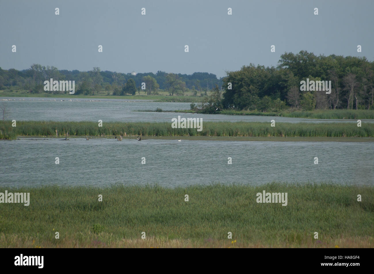 Pelican Lake Waterfowl Production Area (WPA) in the Midwest provides a ...