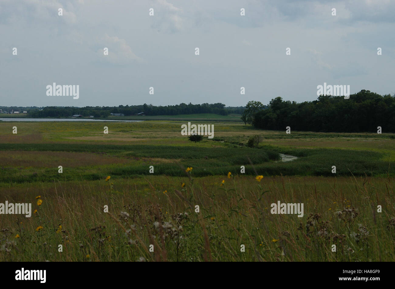 Pelican Lake Waterfowl Production Area (WPA) is located within a ...