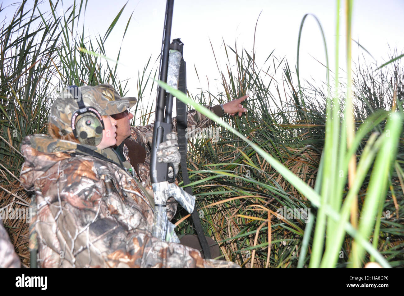 Early observations from wildlife researchers at national parks offer ...