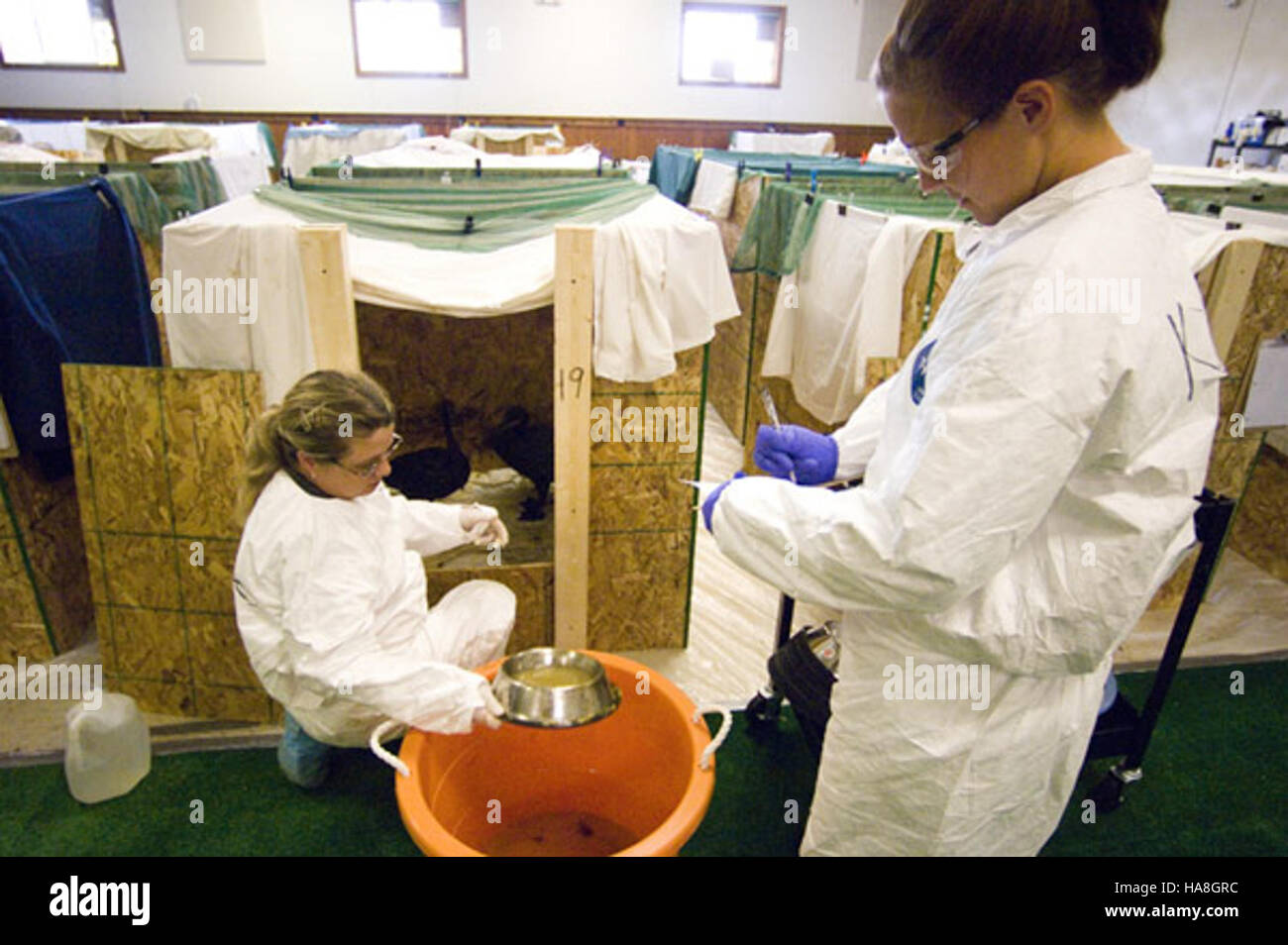 This image depicts animal rehabilitation efforts following contact with ...