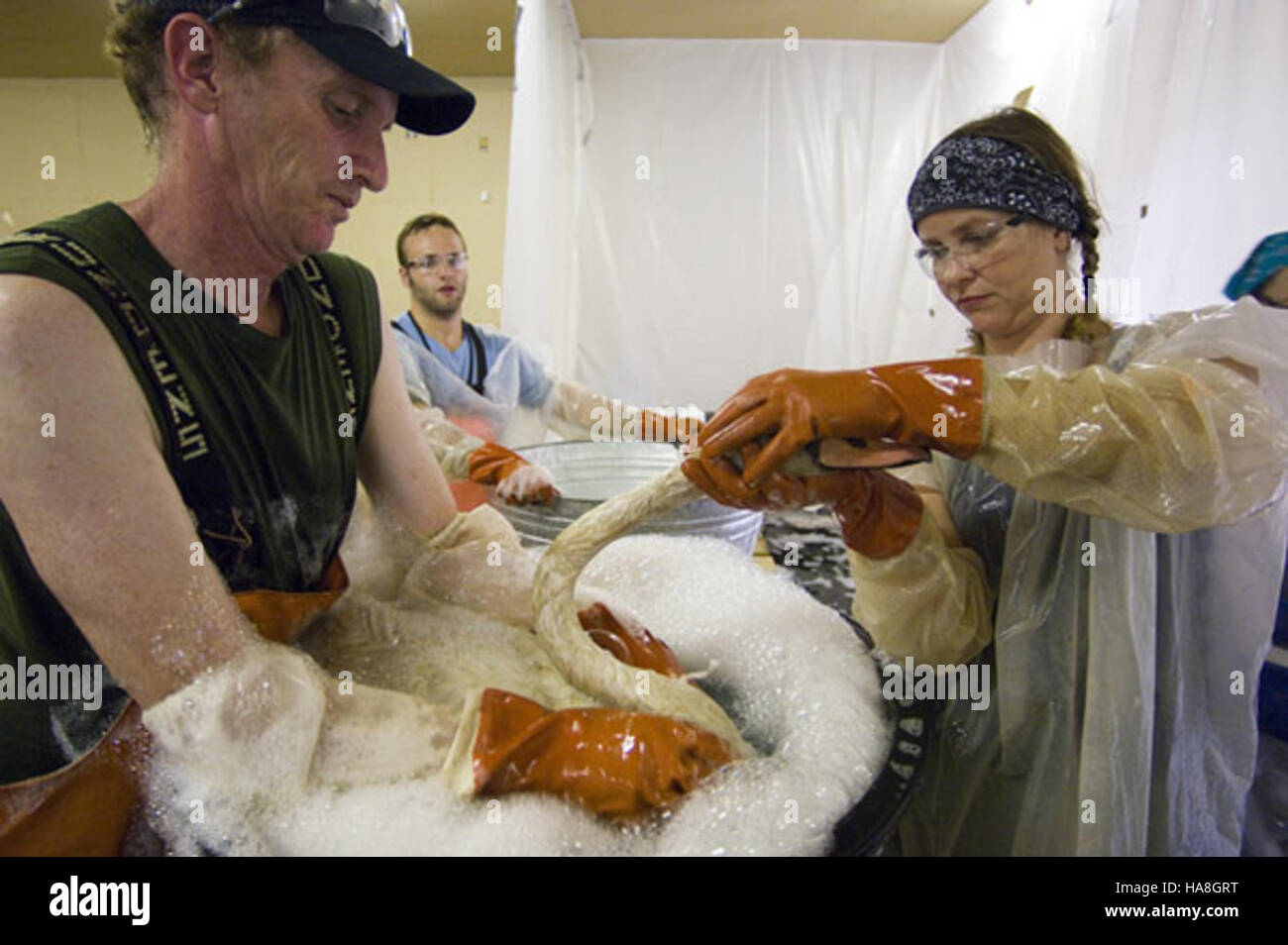 An image showing the rehabilitation process of an animal after exposure ...