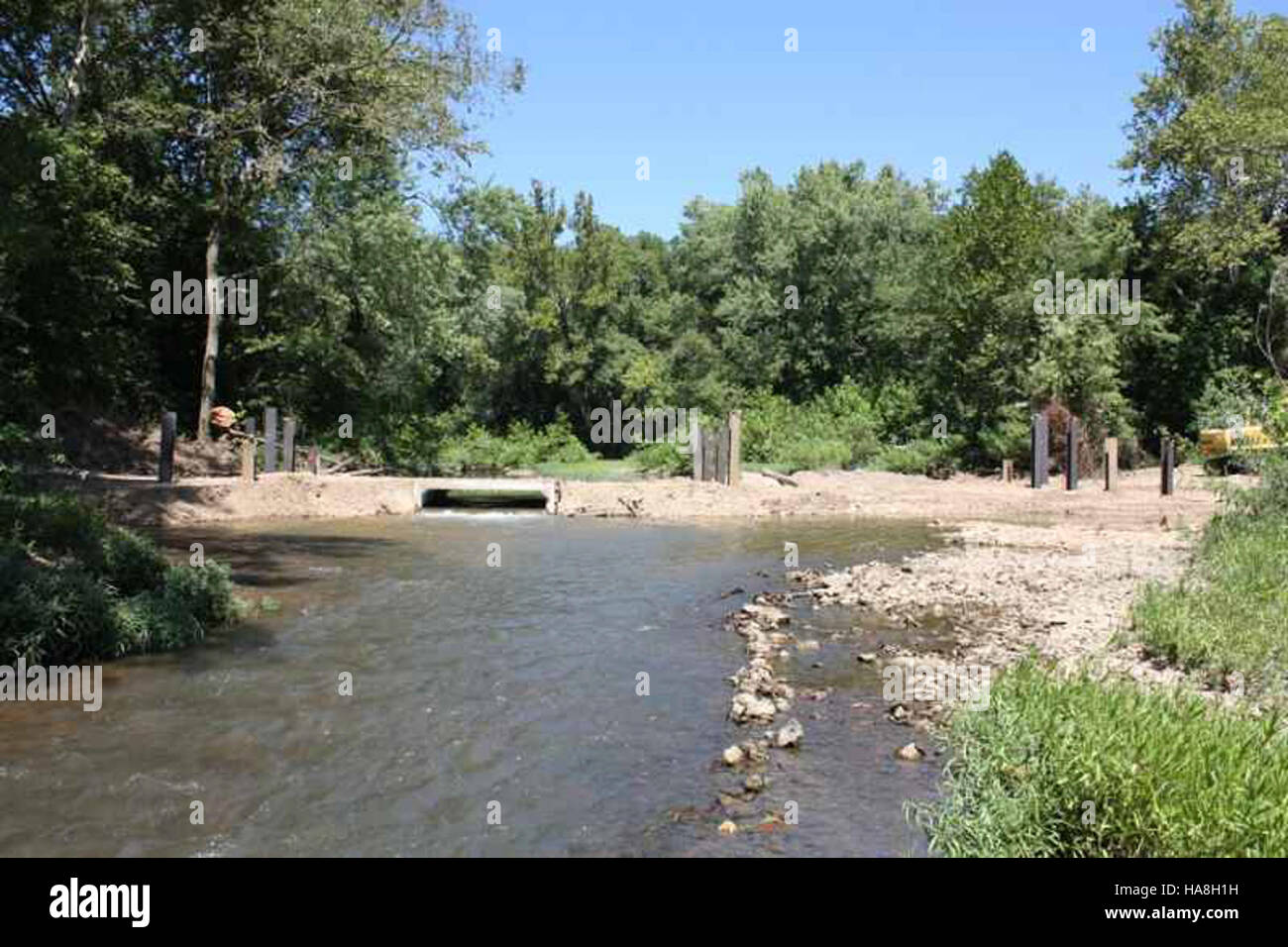 This photo by Craig Fuller captures the diversity of wildlife at the ...