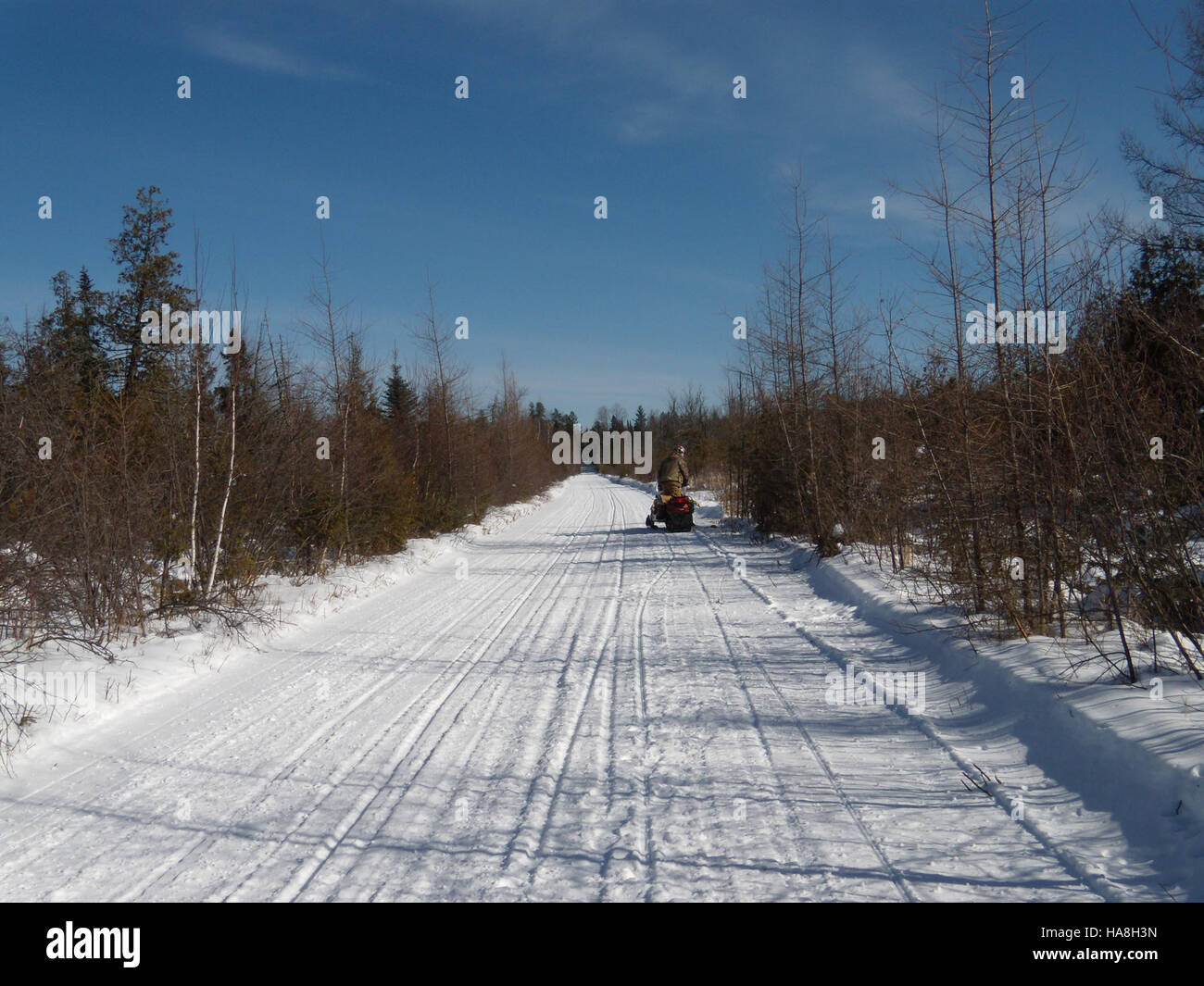 This image captures a lynx tracking operation in the snow-covered ...