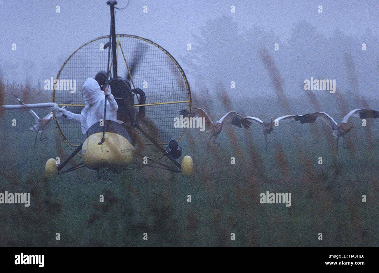 Wildlife professionals conduct training on managing and preserving ...