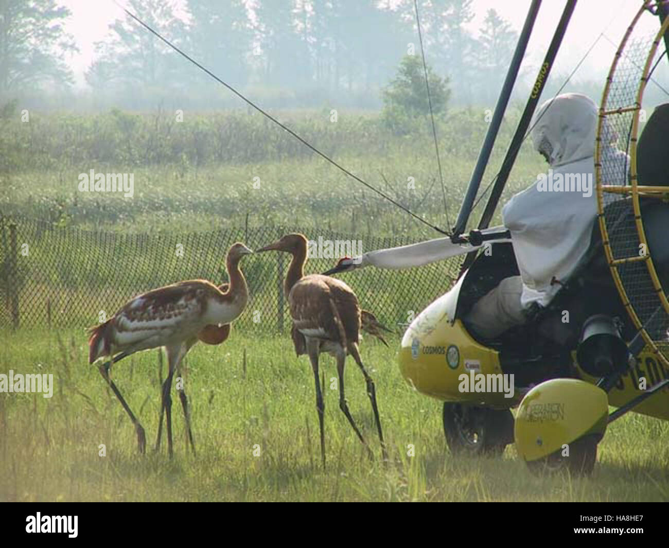 Ultralight aircraft training is conducted in national parks to assist ...