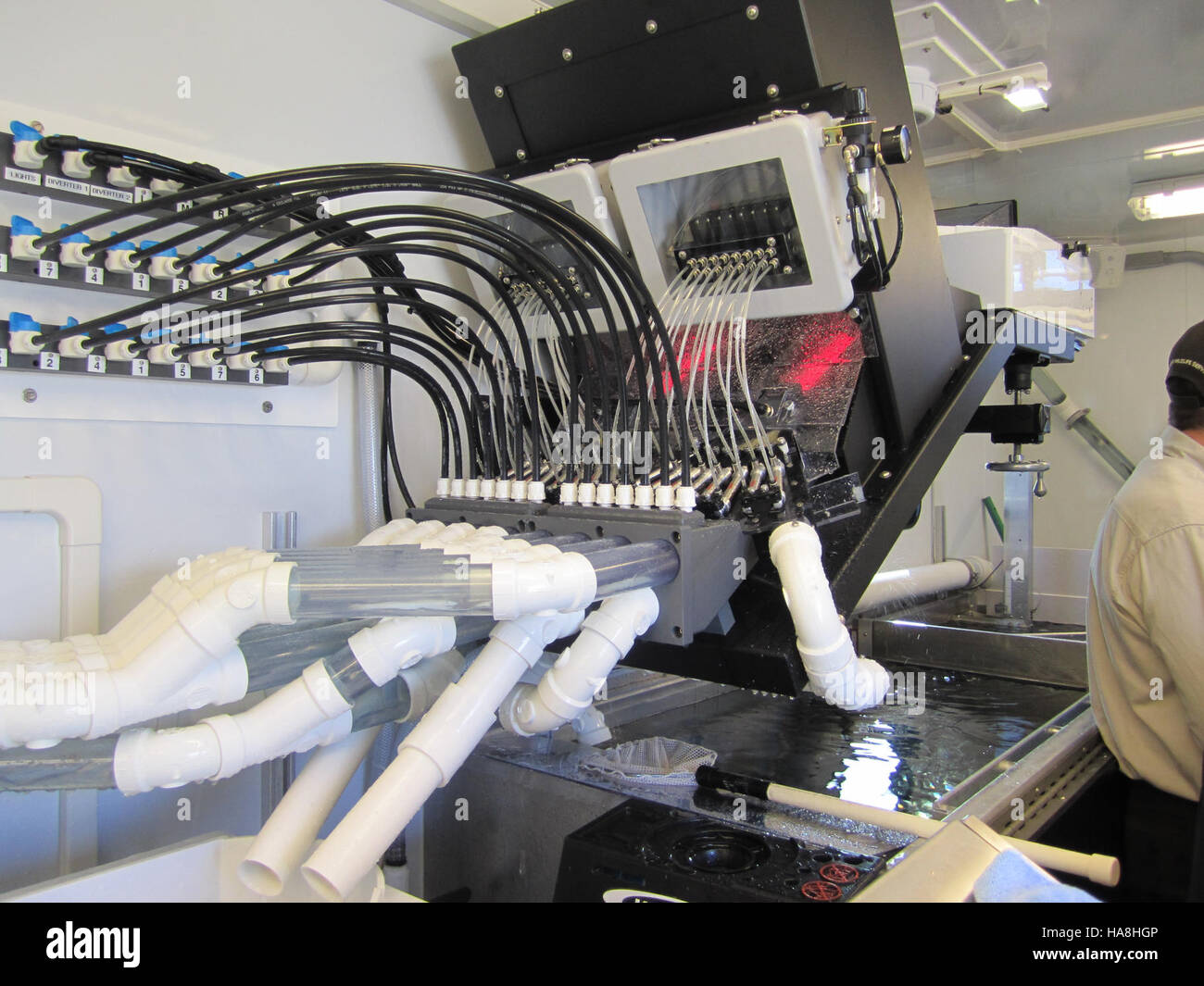 A fish sorter used by the U.S. Fish and Wildlife Service helps manage ...