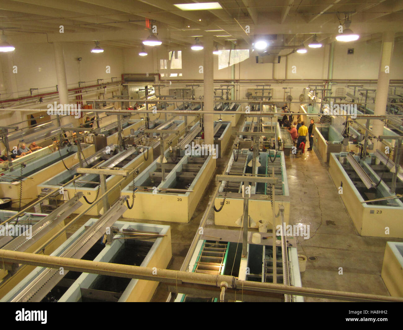 Hatchery raceways are used for fish conservation efforts, enabling the ...