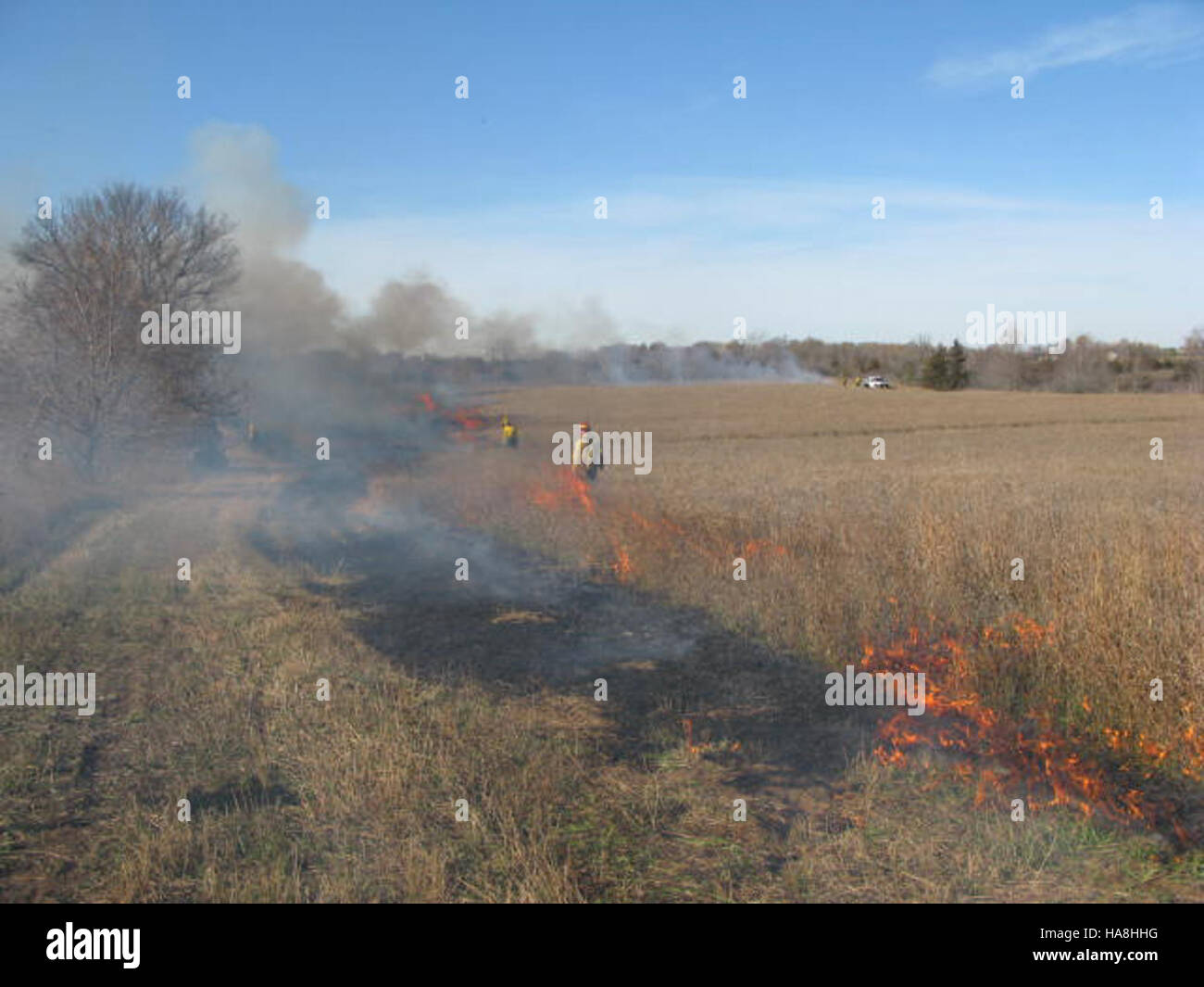 A prescribed burn conducted at the Rapids Lake Unit of the Minnesota ...