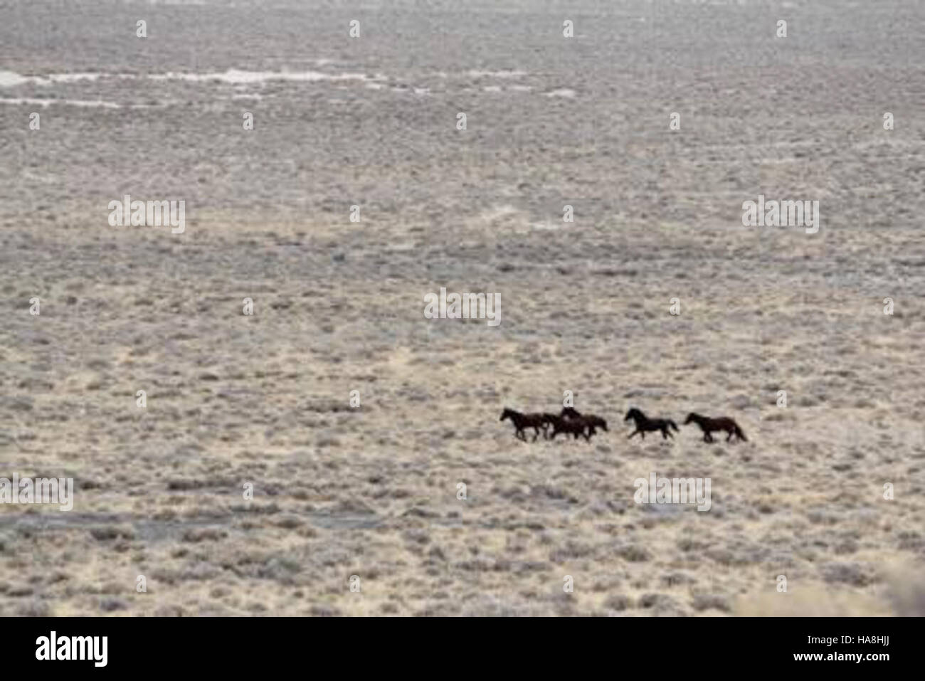 The Bureau of Land Management manages vast stretches of federal lands ...