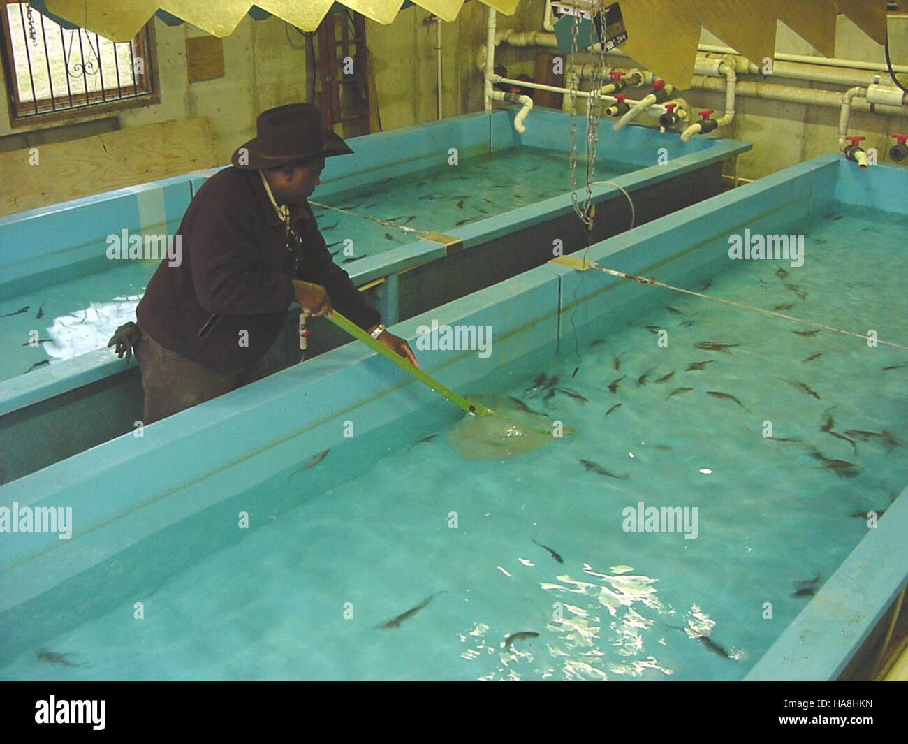 The U.S. Fish and Wildlife Service's efforts in wildlife conservation ...