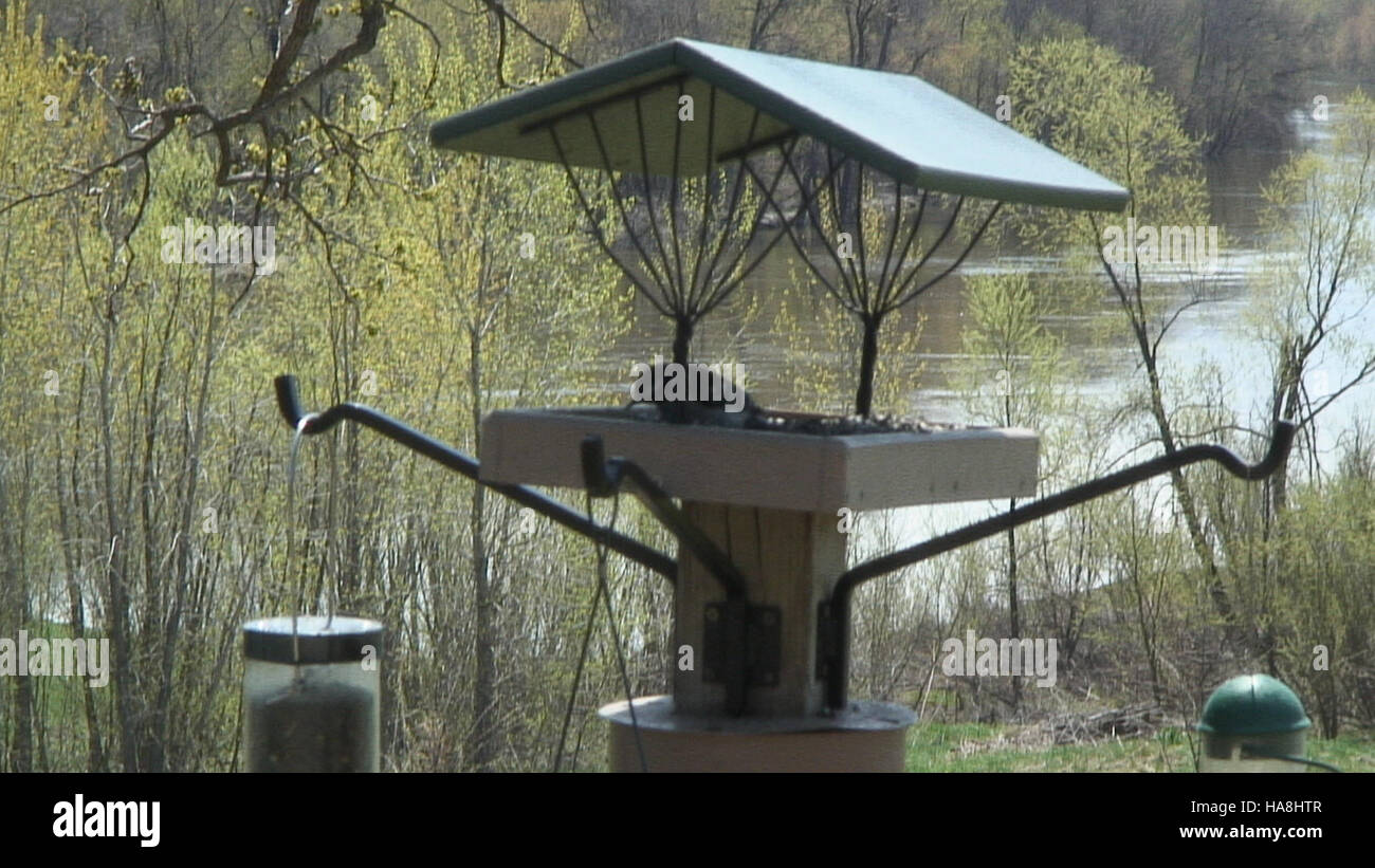 Birdwatching stations hi-res stock photography and images - Alamy