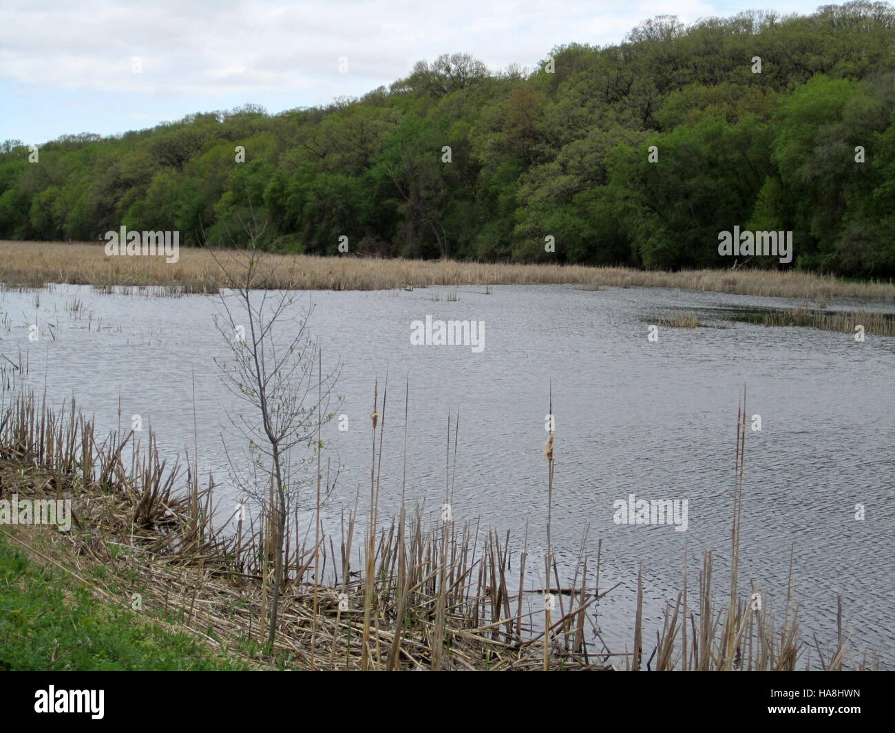 Bass Ponds in the U.S. Midwest, part of a national park, represent a ...