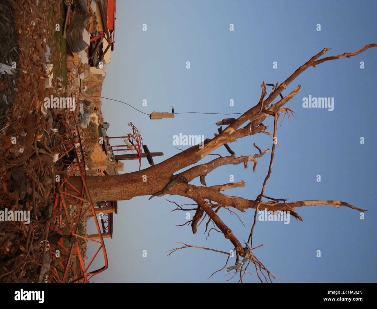 Tangled debris in a natural setting, possibly within a national park ...