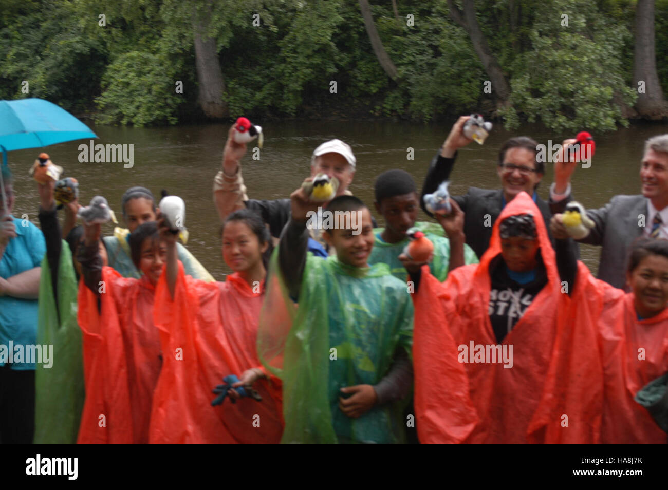 Wildlife enthusiasts showcase native birds in the Midwest, highlighting ...
