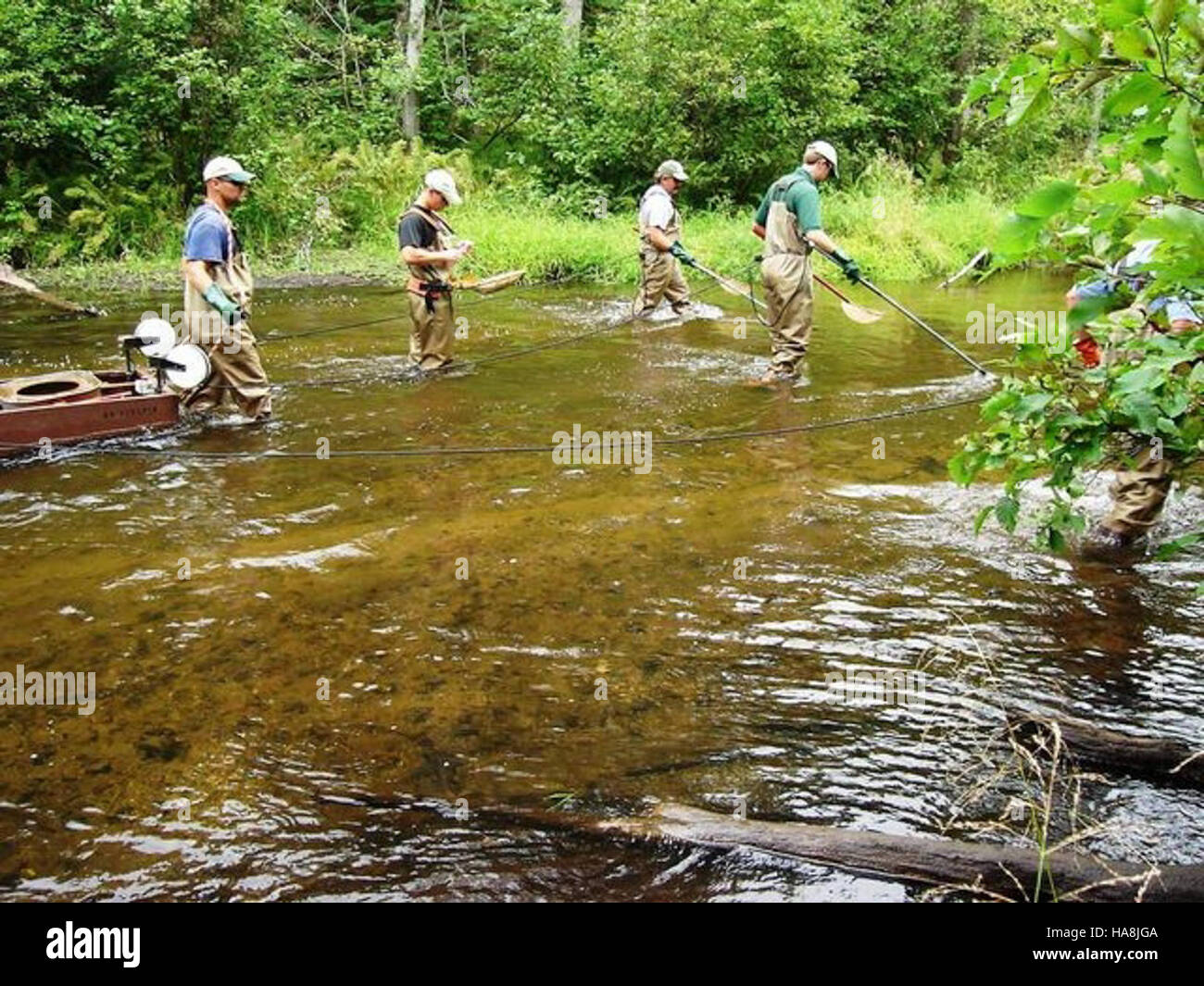 A conservation project in Michigan focused on preserving native plant ...