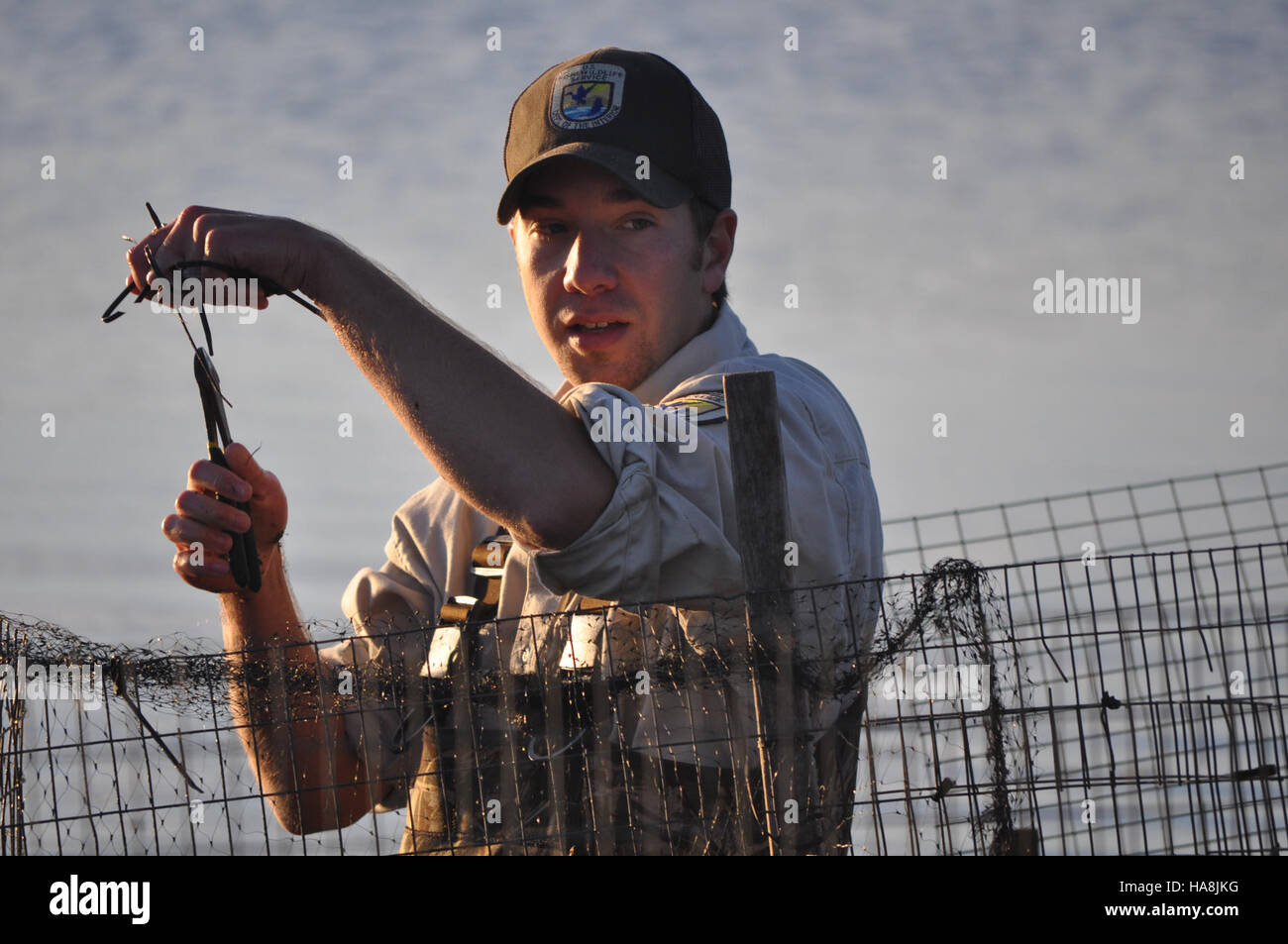 This image highlights a wildlife capture operation in a national park ...