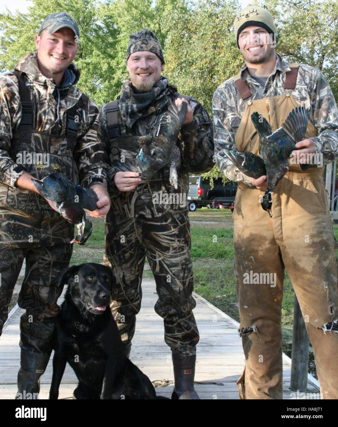 Wilcox landing hi-res stock photography and images - Alamy