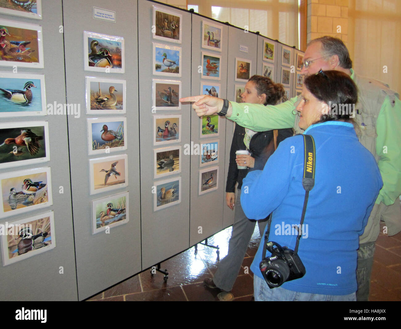 A keen eye for wildlife observation is essential for understanding ...