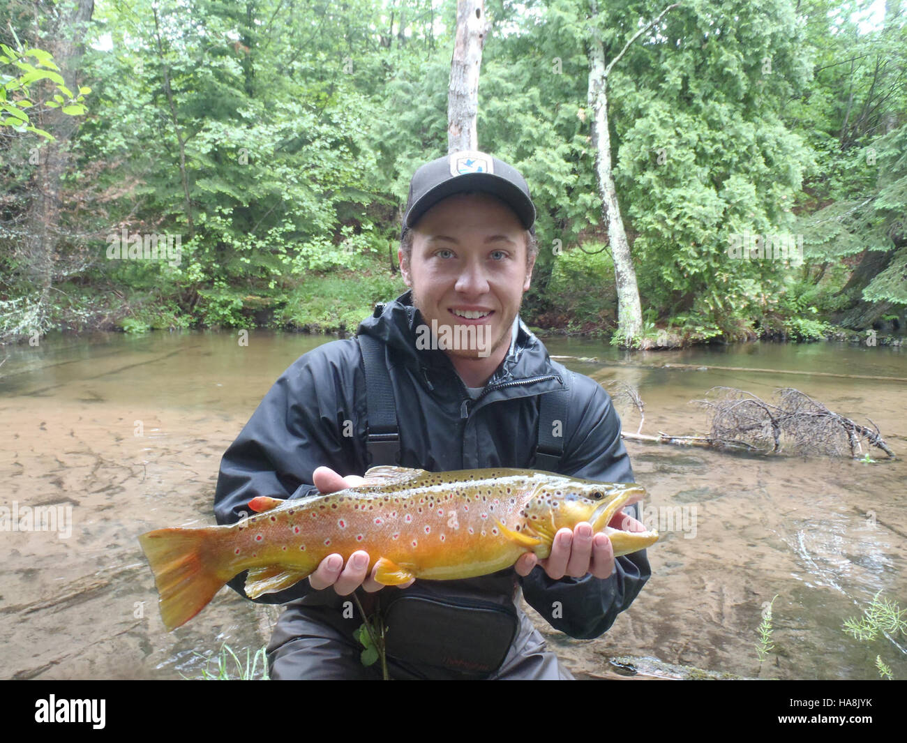 This image captures a Brown Trout, a popular species for recreational ...