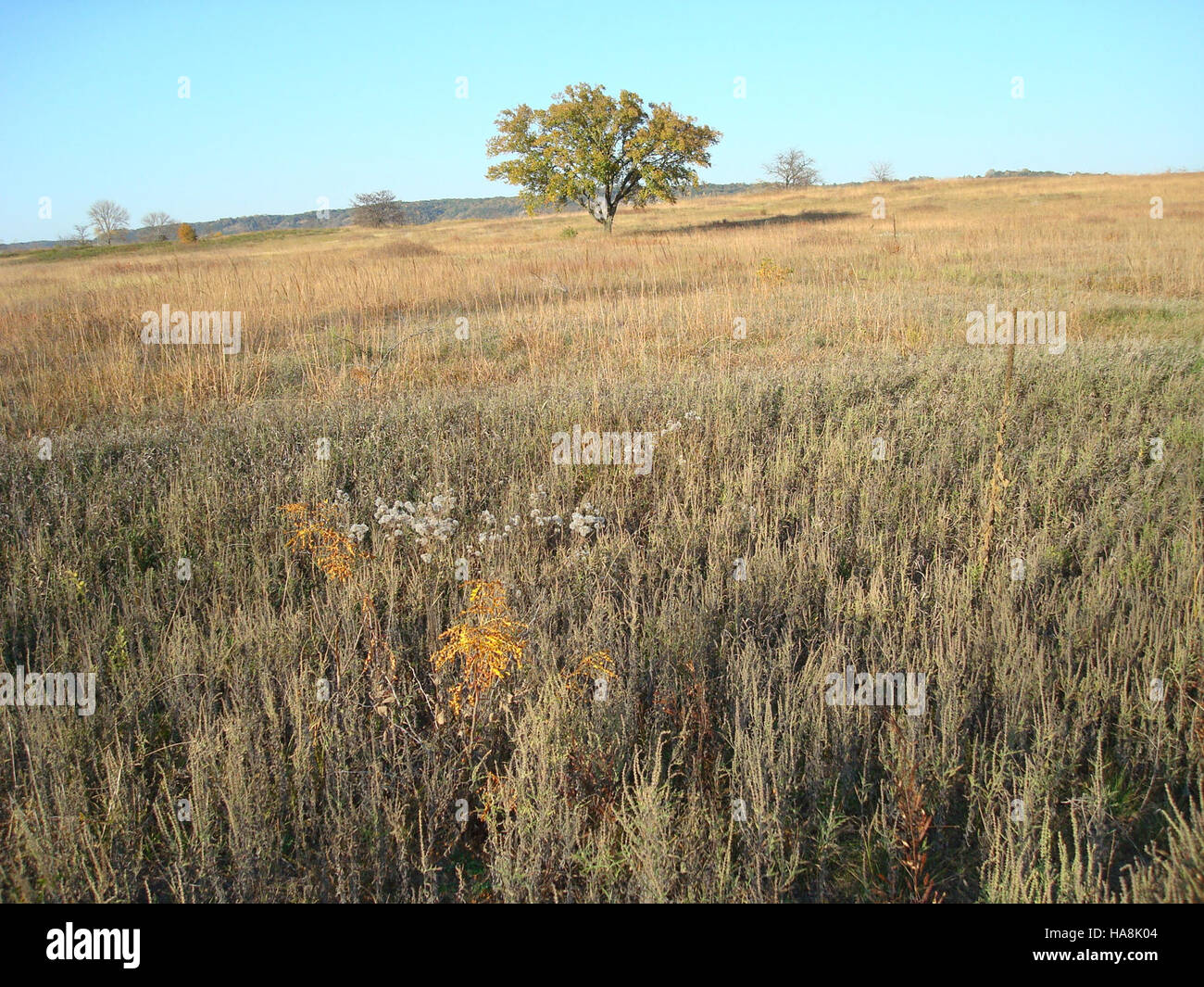 Lost mound hi-res stock photography and images - Alamy