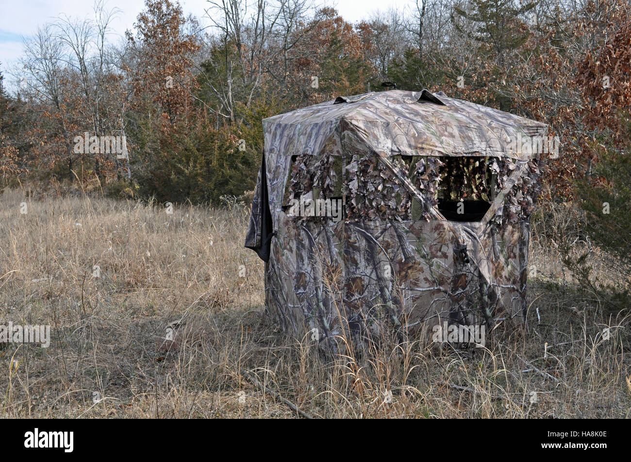 A popup blind used for waterfowl hunting provides concealment for ...