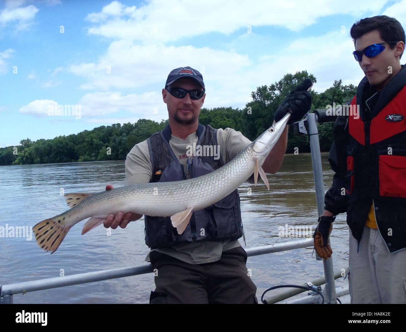 usfwsmidwest 6441955339 Longnose gar Stock Photo - Alamy