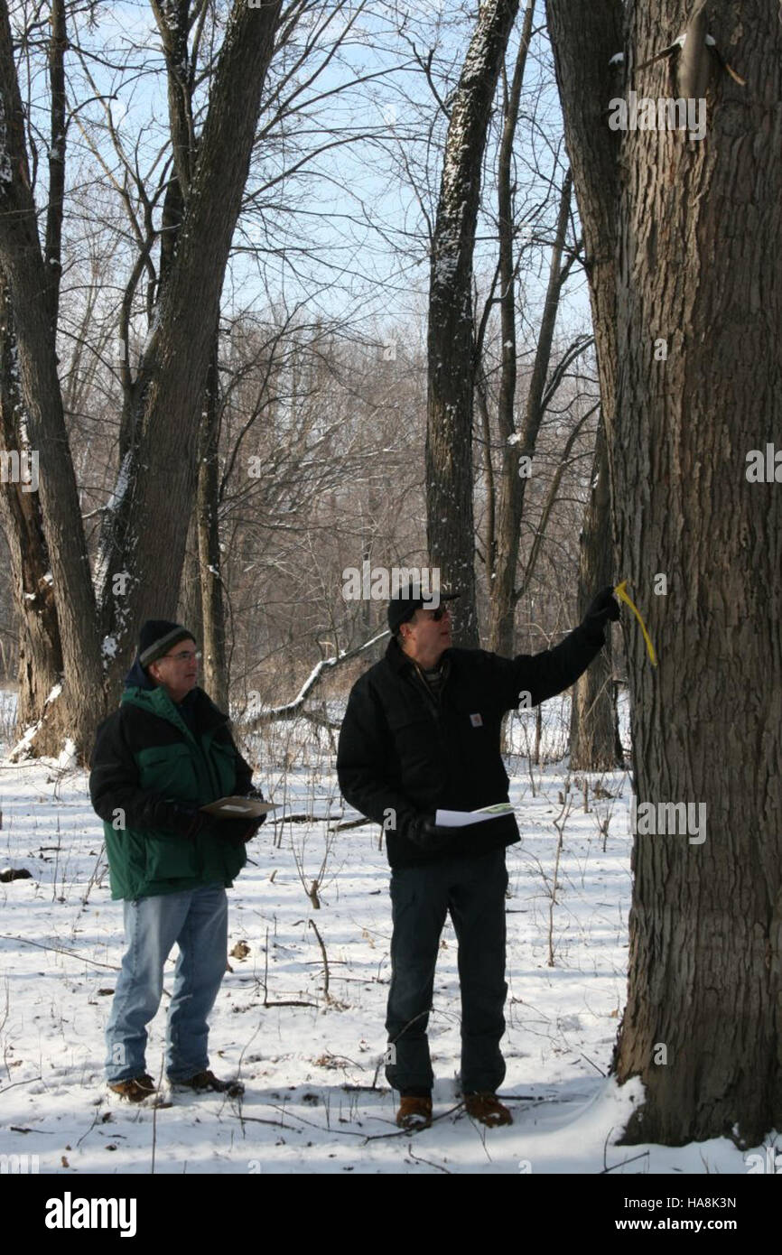 Volunteers are seen checking trees within a national park, assisting ...