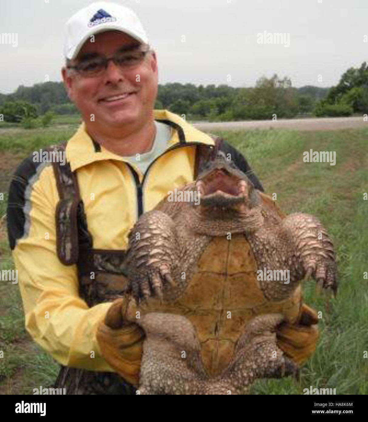 usfwsmidwest 6846244425 Snapping turtle Stock Photo - Alamy