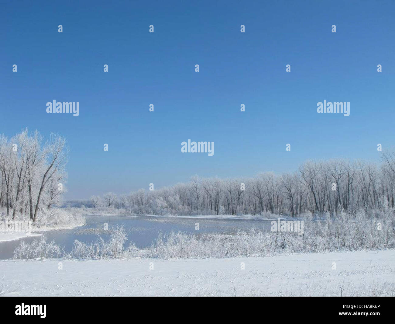 Winter scenes at the wildlife refuge show the seasonal transformations ...