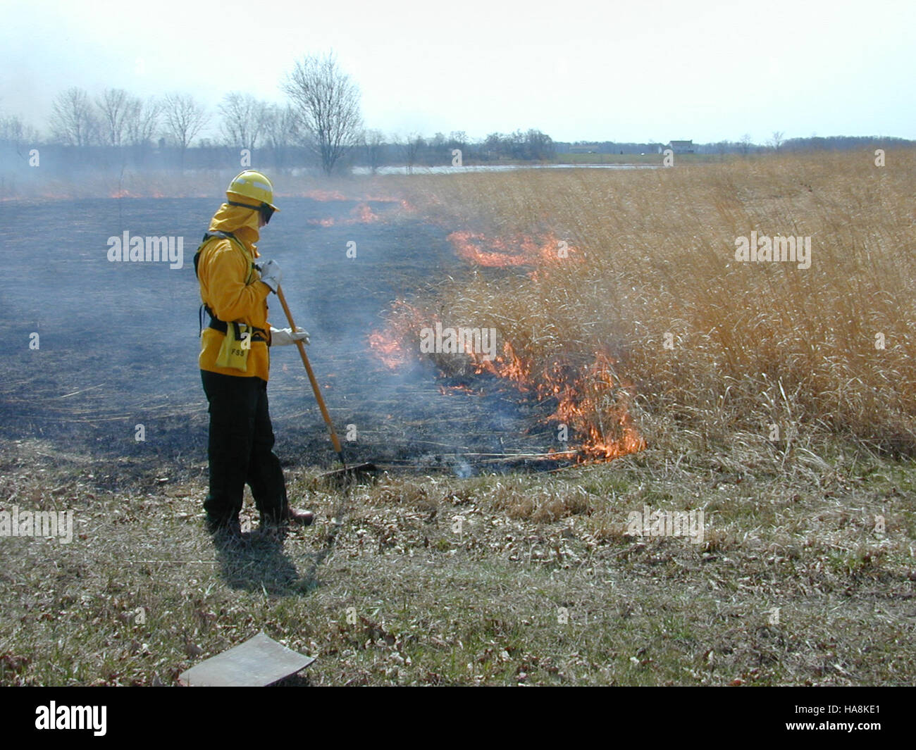 Prescribed burns are managed fire events used to restore and maintain ...