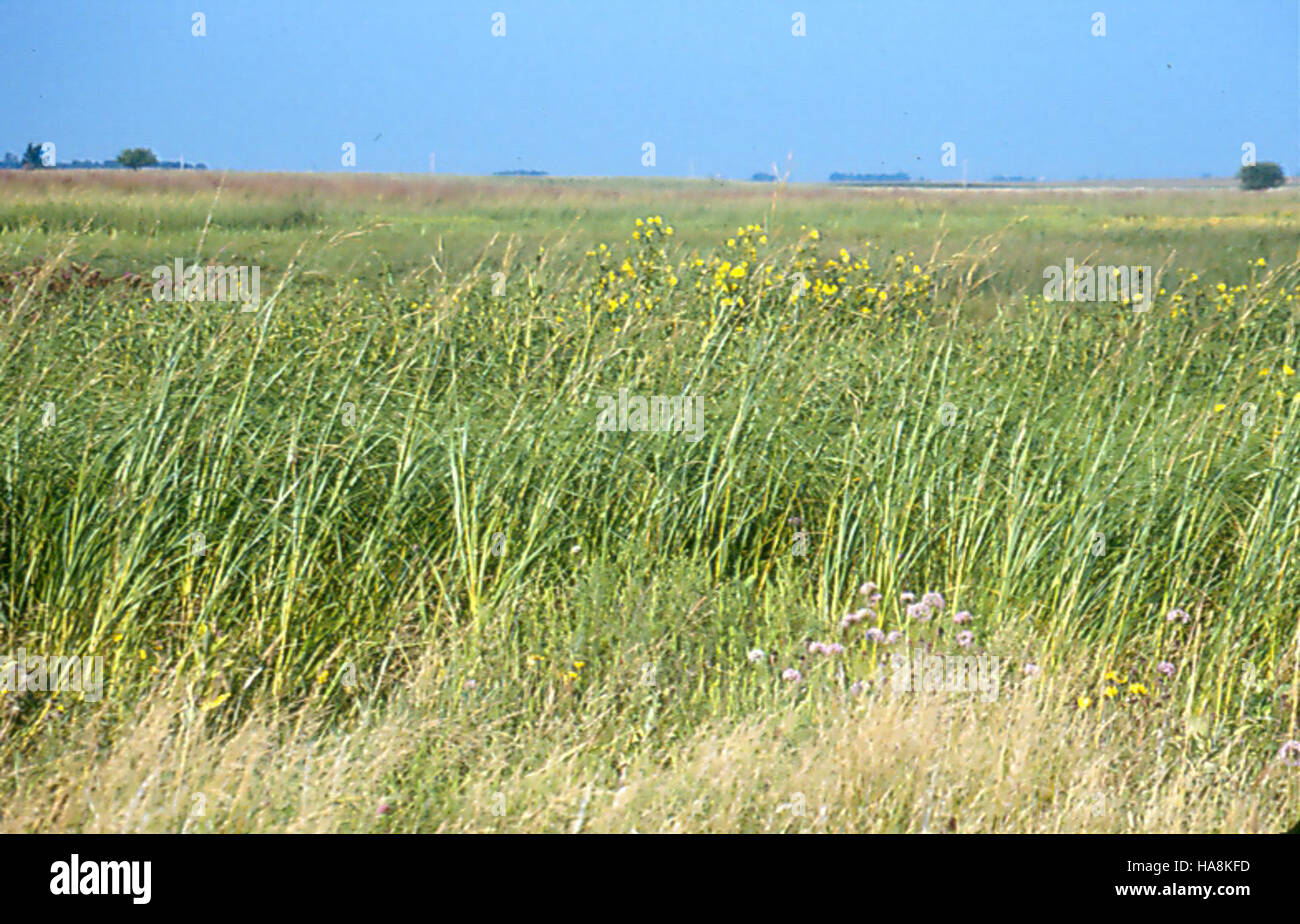 Prairie National Park, located in the Midwest, is dedicated to ...
