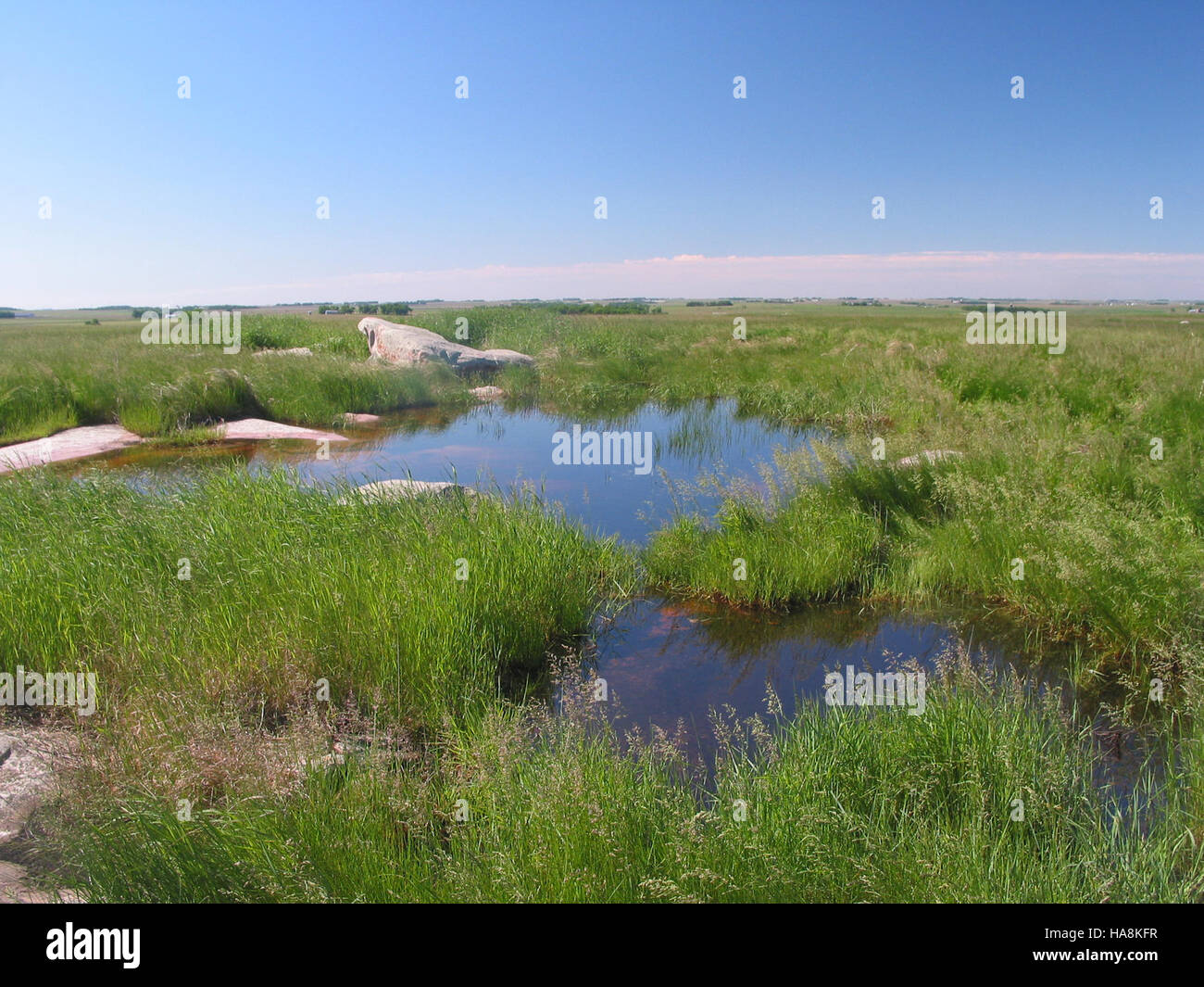The Northern Tallgrass Prairie National Park, managed by the USFWS, is ...