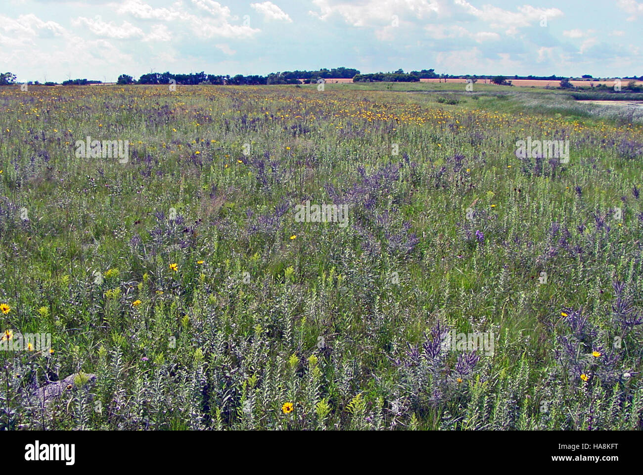 The Northern Tallgrass Prairie National Preserve, located in Kansas and ...