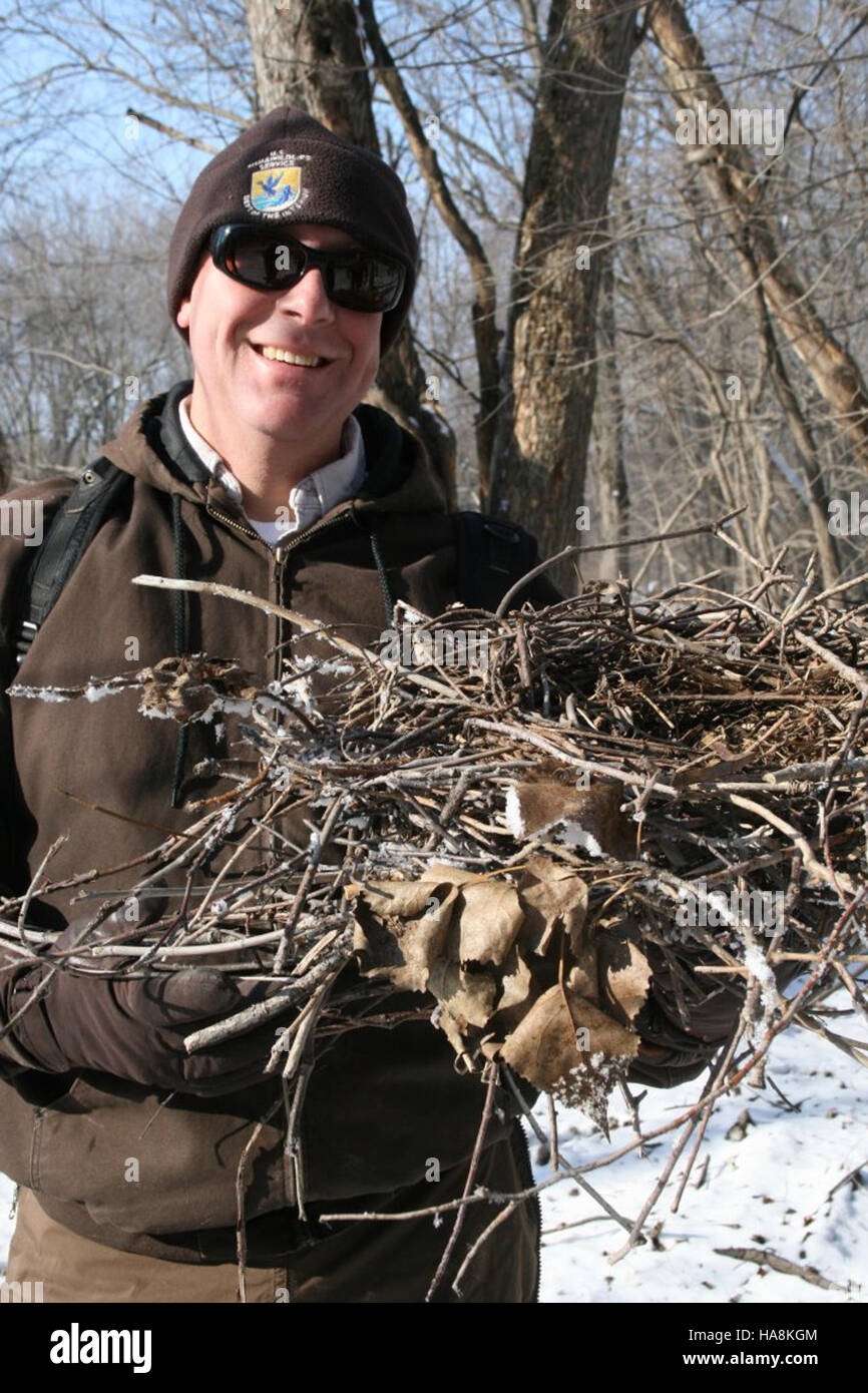 Brian Pember, a wildlife biologist, inspects a bird nest in a national ...