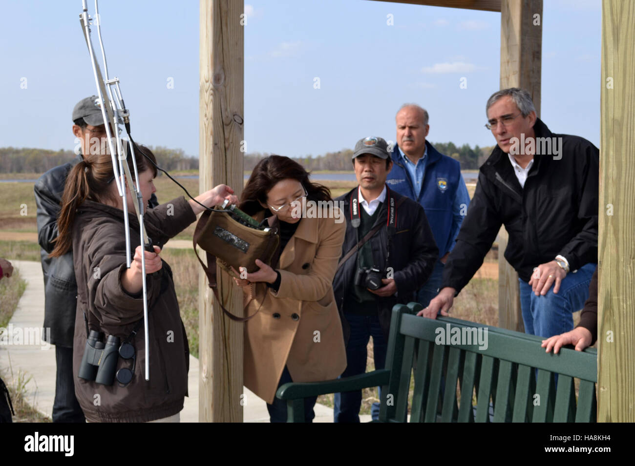 Radio telemetry is used to track the movements of Whooping Cranes, an ...